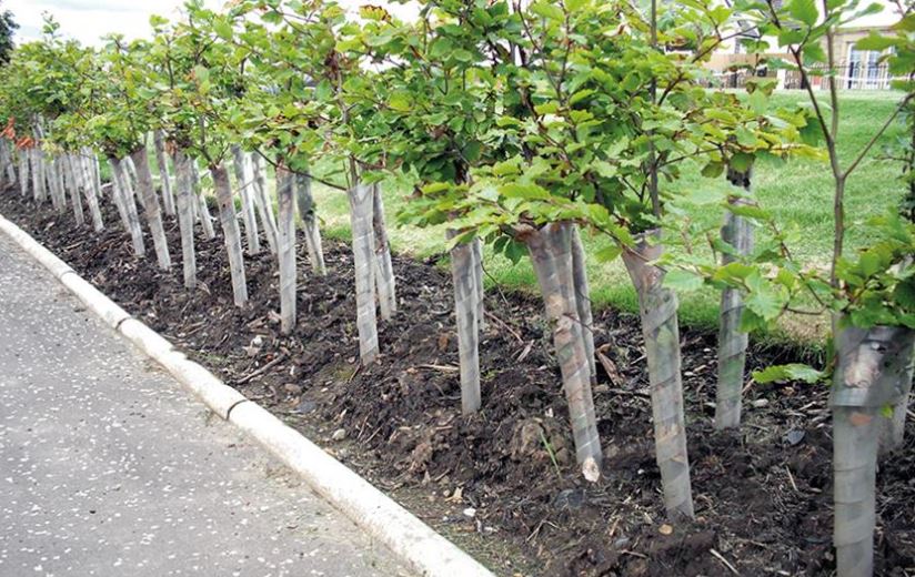 Tree and Plant Protection Products – Rusper Farm